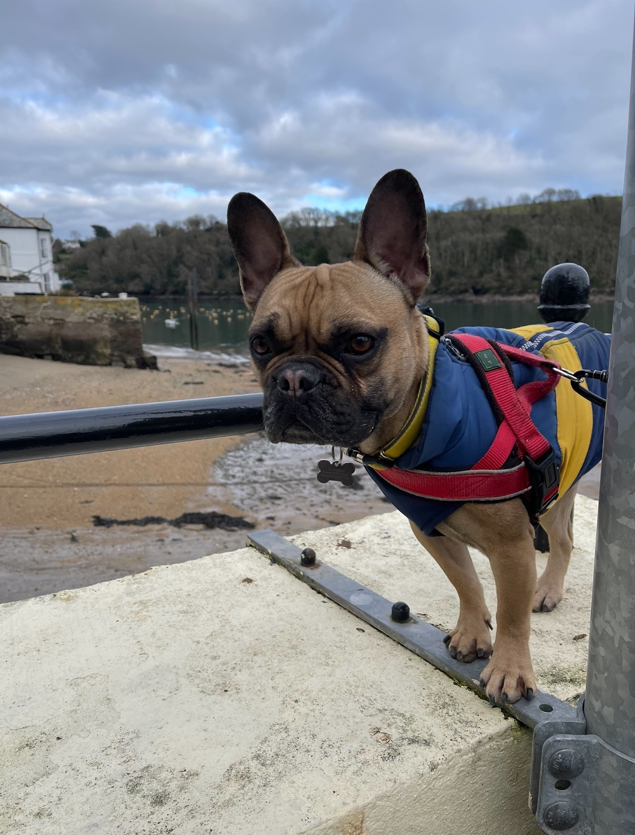 We have completed the 100km for RSPCA Cornwall. - Gerrick Rose Animal Trust