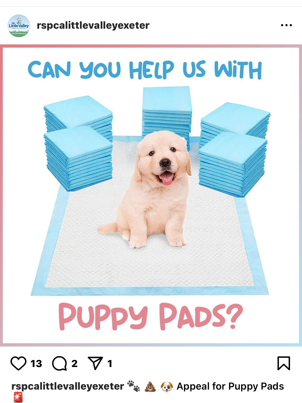 Puppy Pads Delivery to Little Valley - Gerrick Rose Animal Trust
